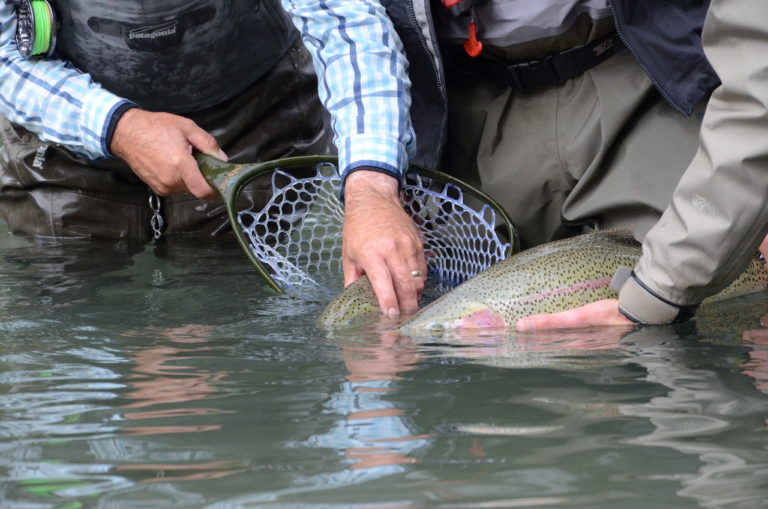 Fly Fusion | The Soul of Fly Fishing