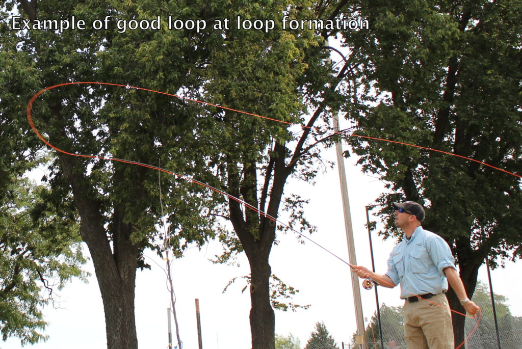 Fishing Tips: Fundamentals of Loop Shape | Fly Fusion