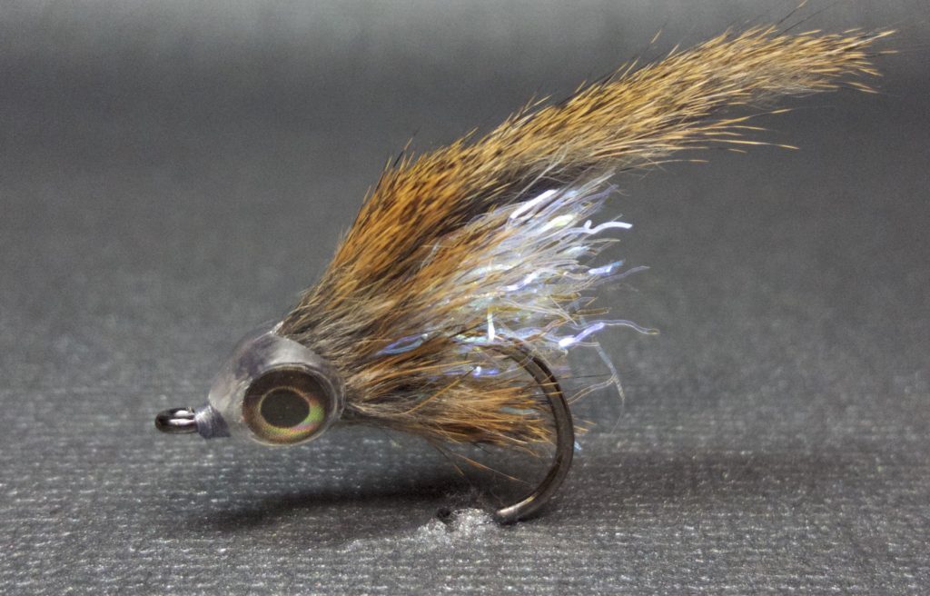 Celebrate Halloween Masked Bandit Style - Fly Fusion