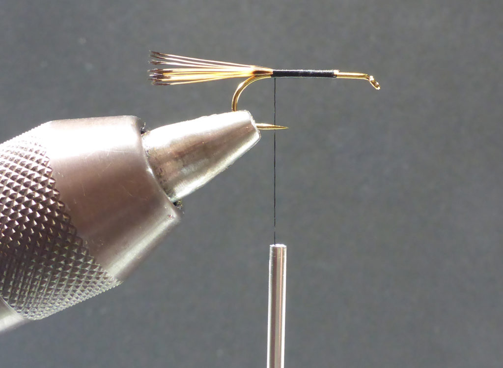 How to: The Western Coachman | Fly Fusion