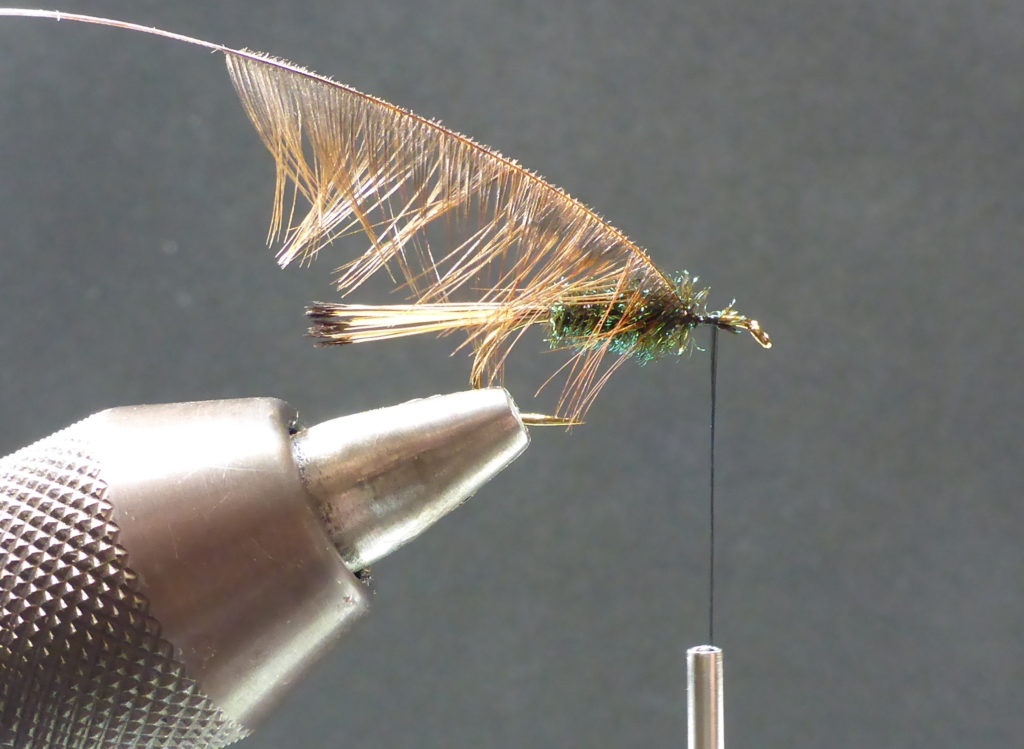 How to: The Western Coachman | Fly Fusion