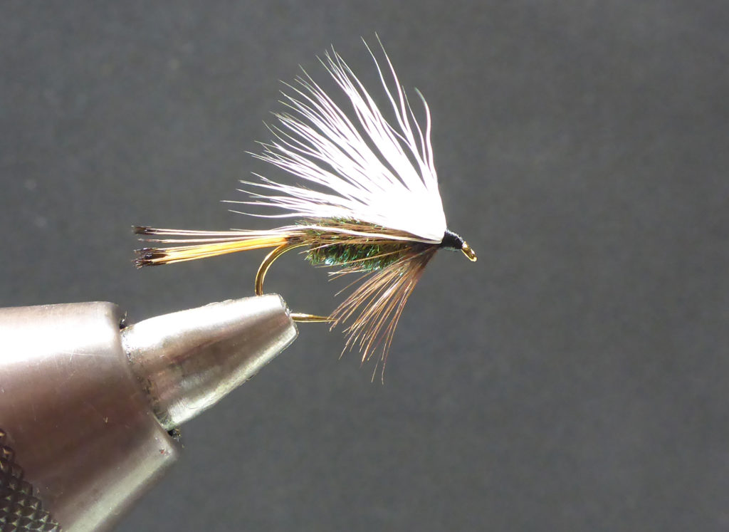 How to: The Western Coachman | Fly Fusion
