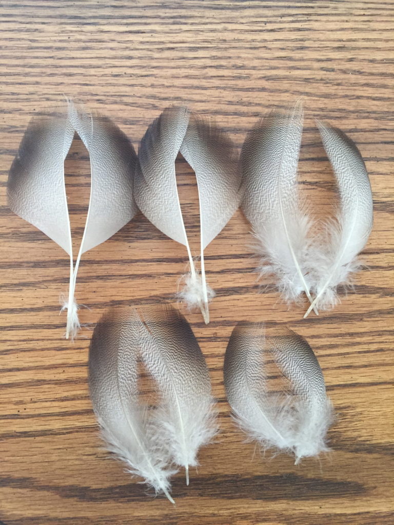 How-to: Steps for Tying Mallard Wings | Fly Fusion