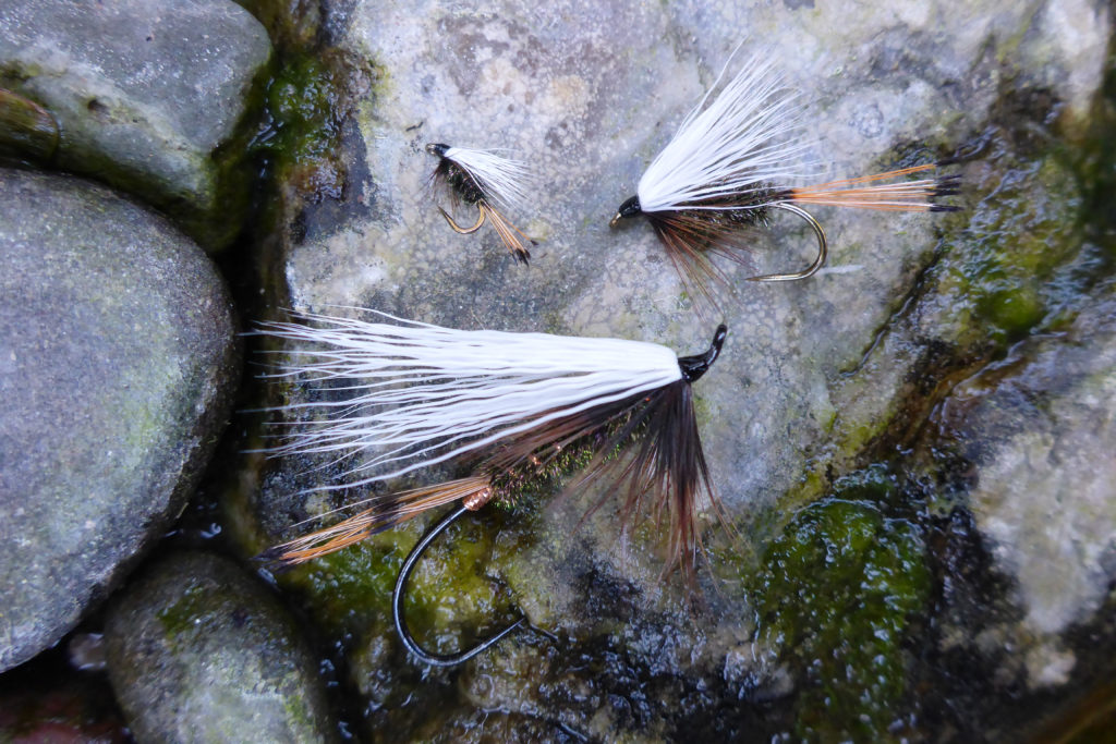 How to: The Western Coachman | Fly Fusion