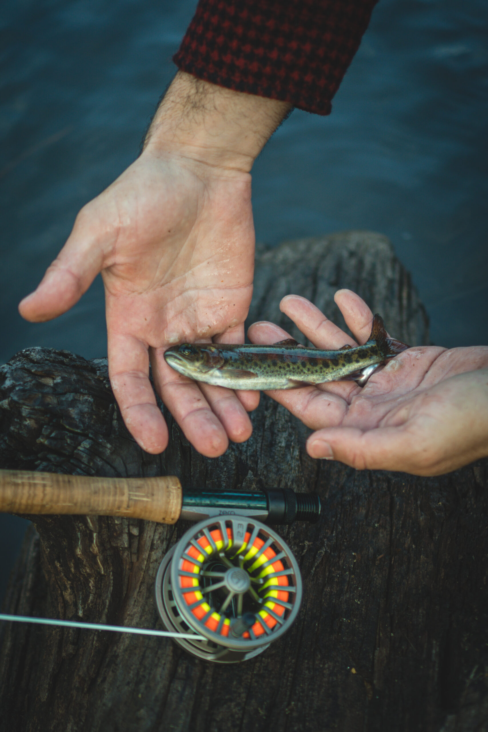 Hike-in Fly Fishing at its Peak - Fly Fusion