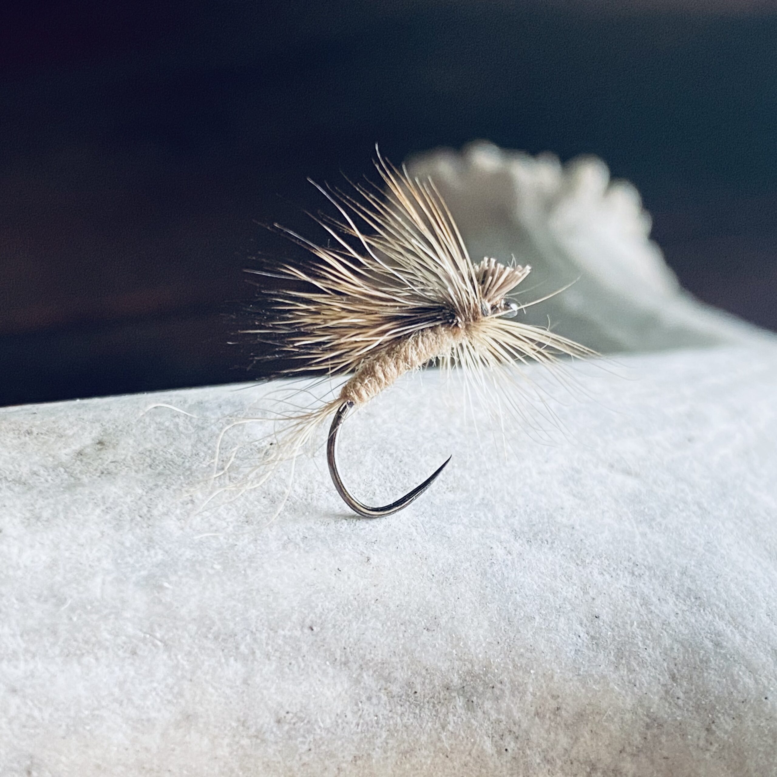 Flies on the Barbee - Bonus Pattern #1 - Fly Fusion