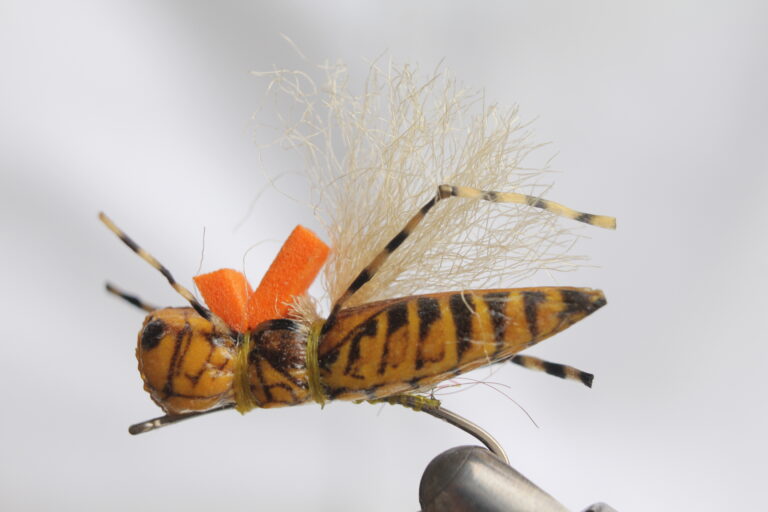 Henneberry Hopper | Jeremy Davies - Fly Fusion