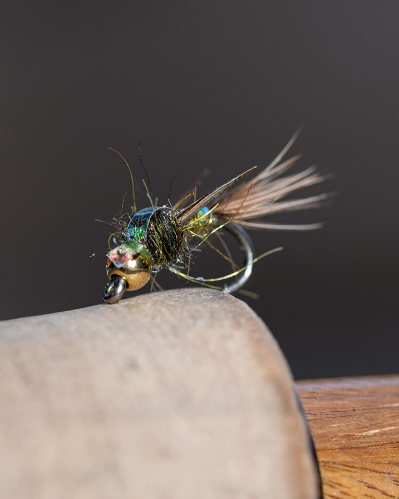 The Evil Weevil - Fly Fusion