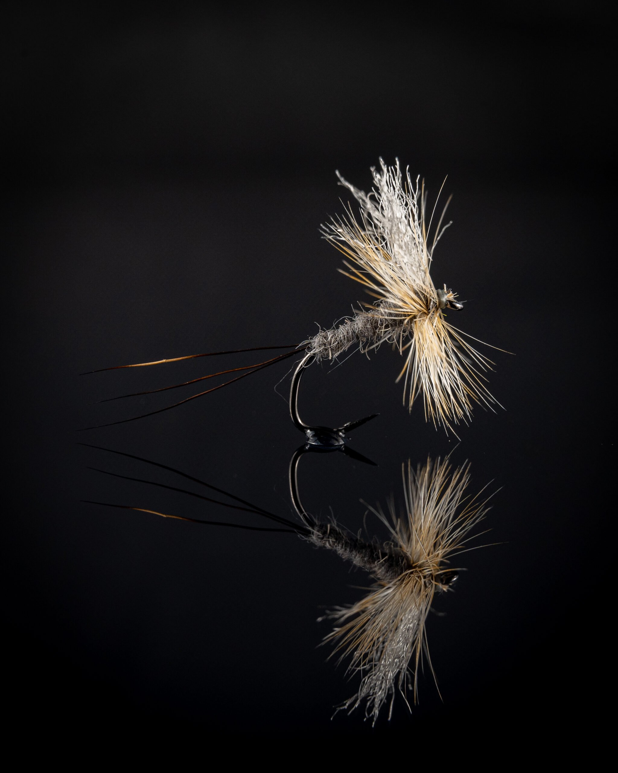The Birth of an Obsession | Dana Harrison - Fly Fusion