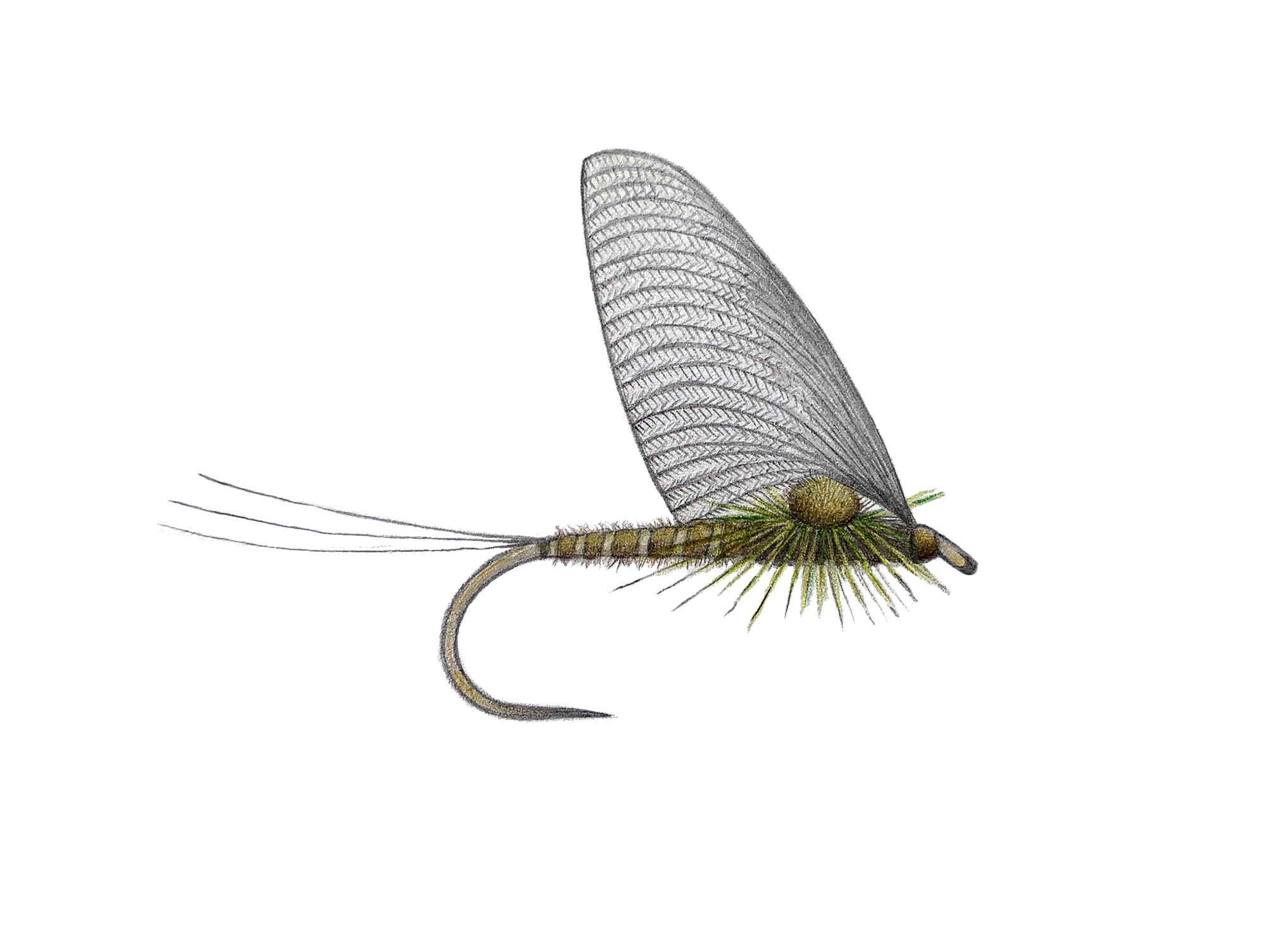 The Feather Mechanic | Gordon van der Spuy - Fly Fusion