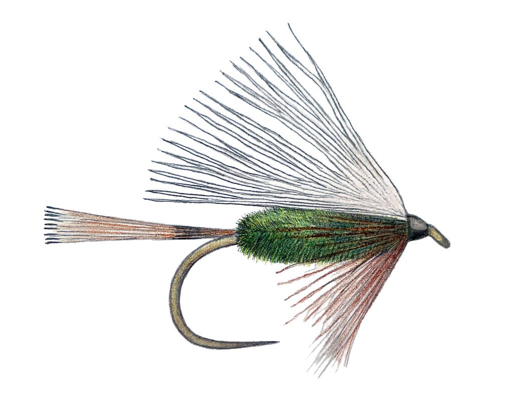 The Feather Mechanic | Gordon van der Spuy - Fly Fusion